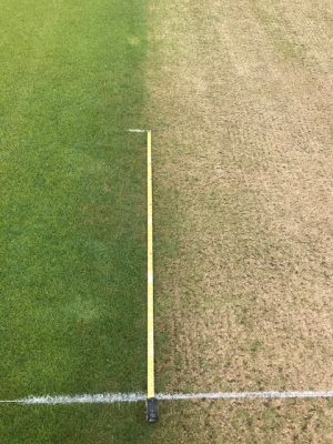 How to Mark out a Cricket Pitch In 9 Steps | Turfcareblog
