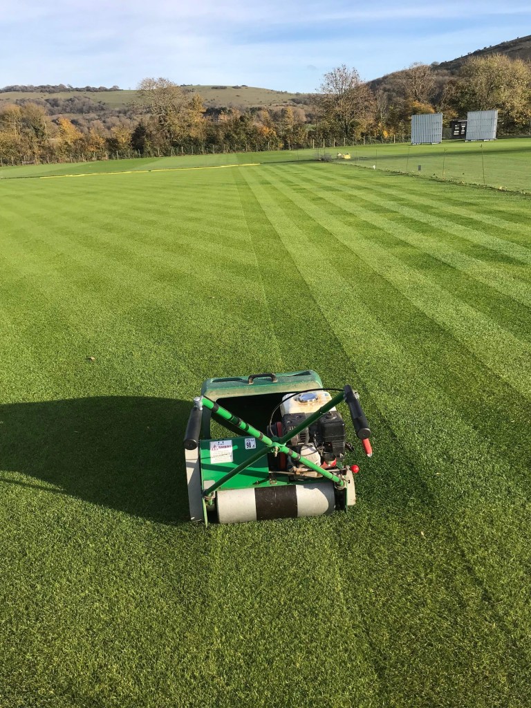 What to do on a Cricket Square Post Renovations | Turfcareblog
