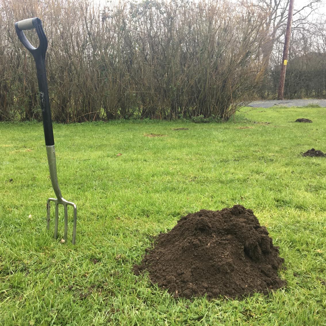 How to Deal with Moles on Sports Pitches-Q+A | Turfcareblog