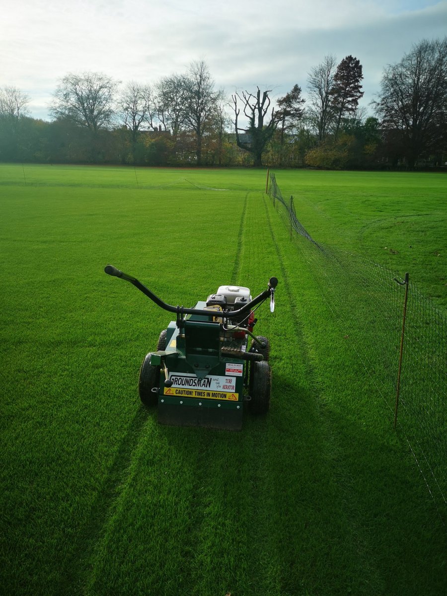 How to Pre-Germinate Grass Seed in 4 Steps | Turfcareblog