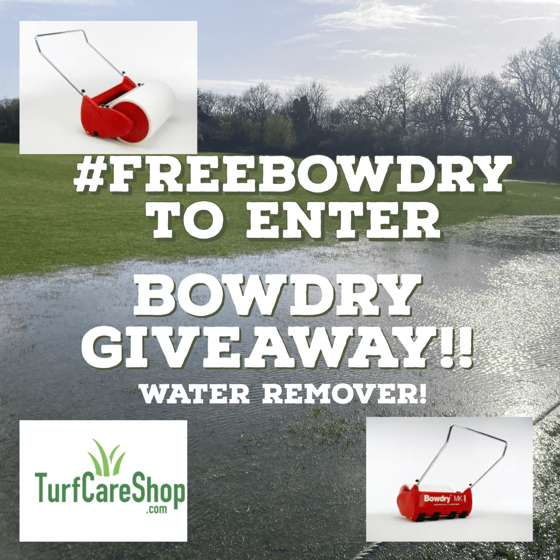How to Pre-Germinate Grass Seed in 4 Steps | Turfcareblog
