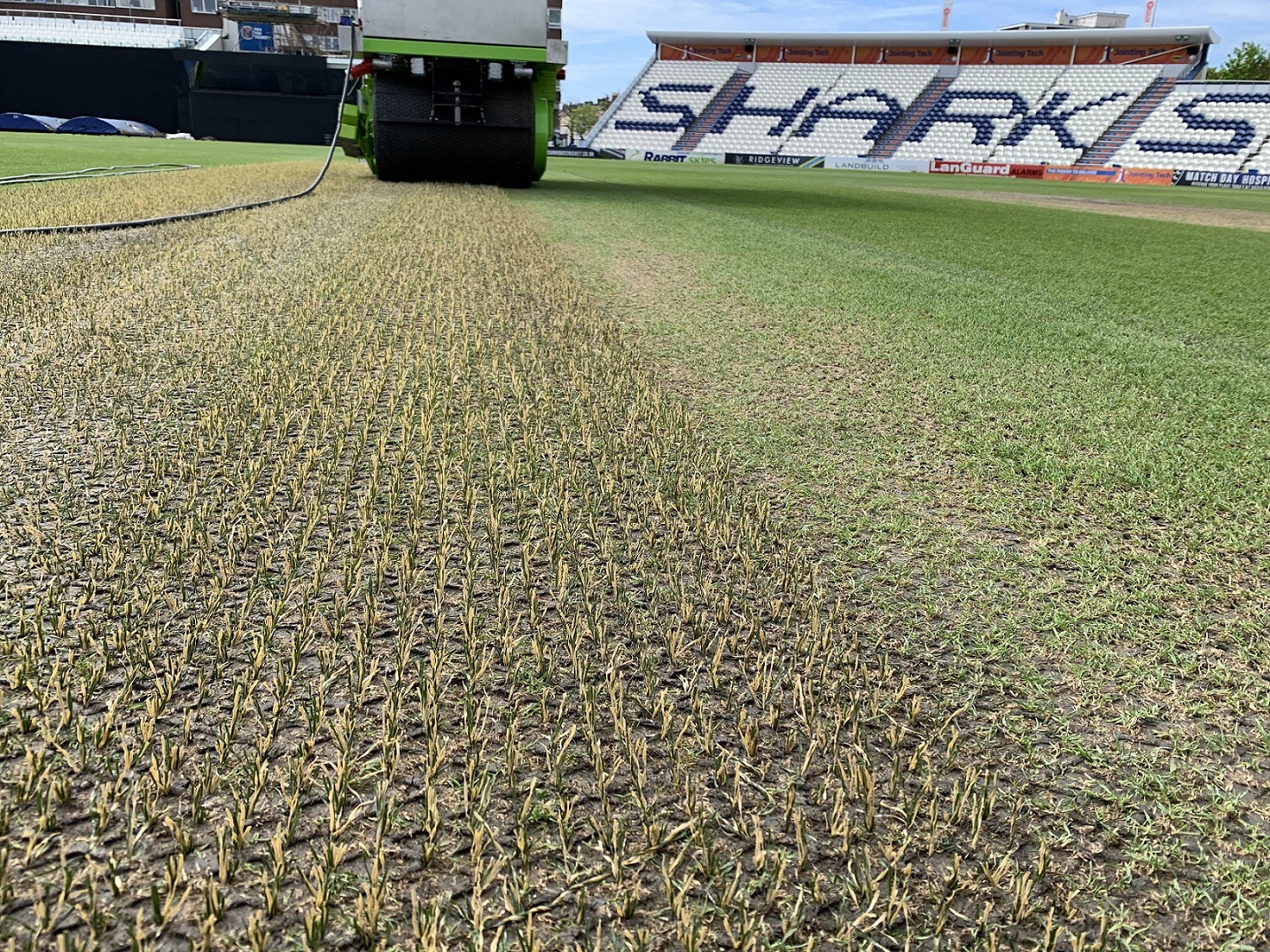 What is a Hybrid Cricket Pitch | TurfCareBlog