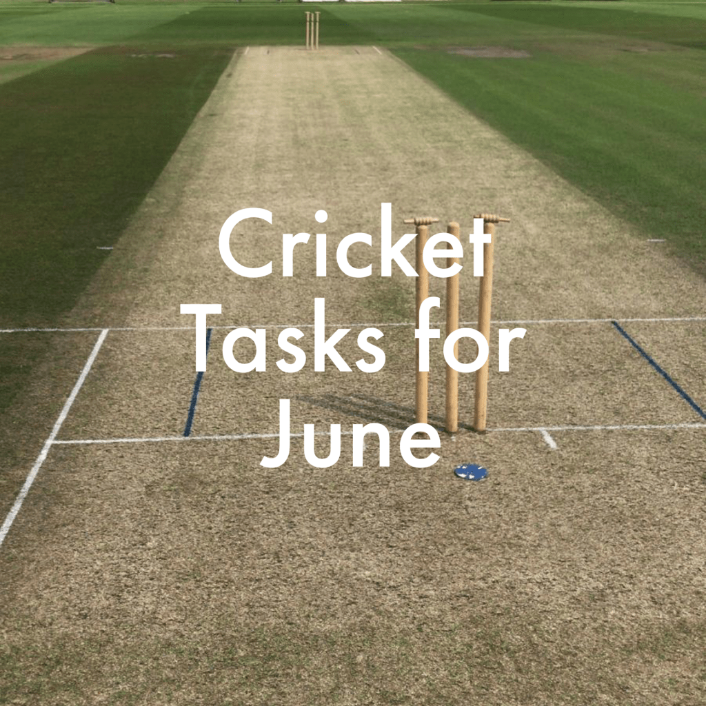 Cricket Square Tasks for June | TurfCareBlog